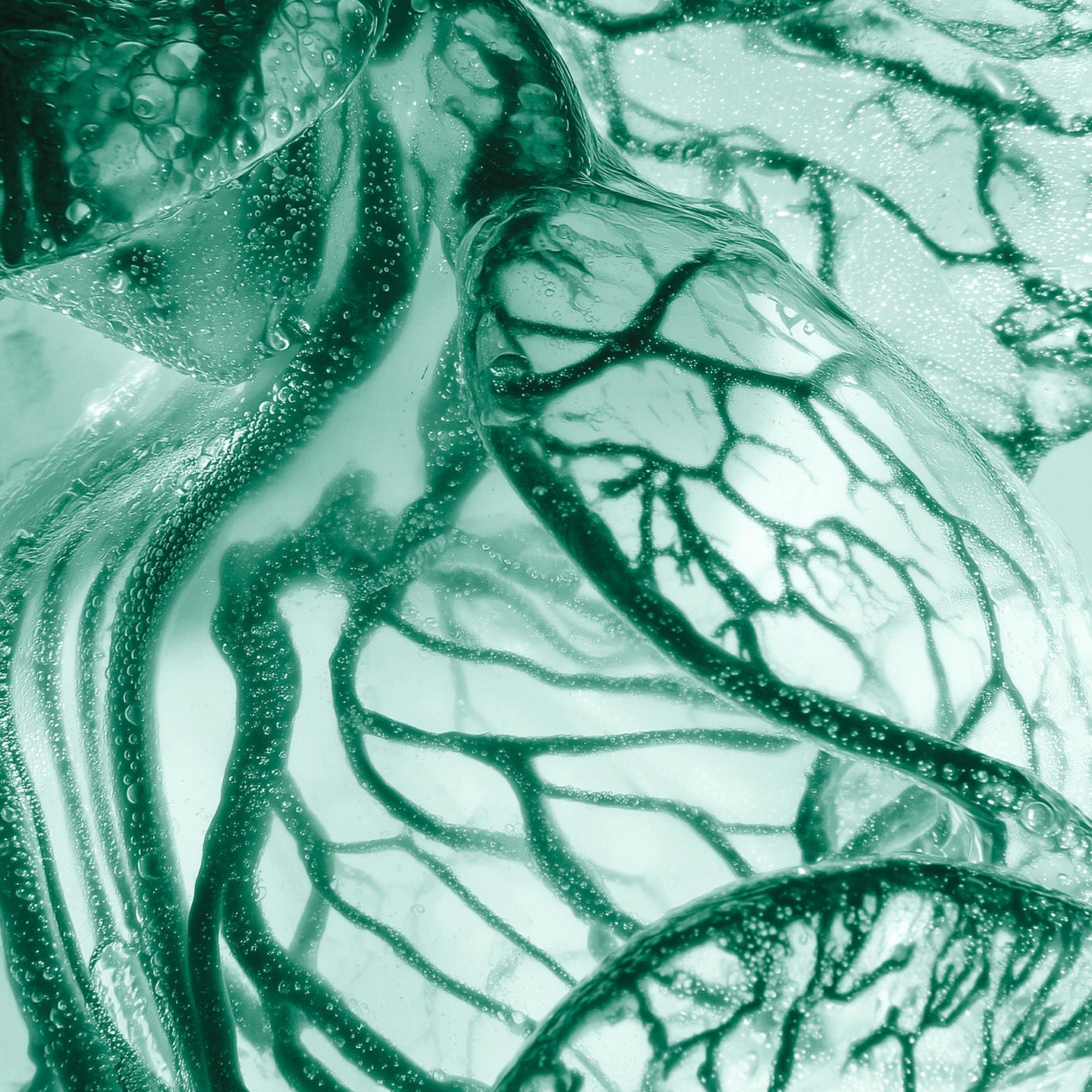 The Longevity Mask | Cellular regeneration EGF+ mask | MANTLE